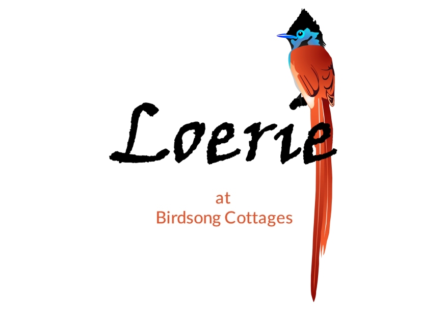 Loerie Logo Loeries' New Young Titans Award Recognises Young Creatives